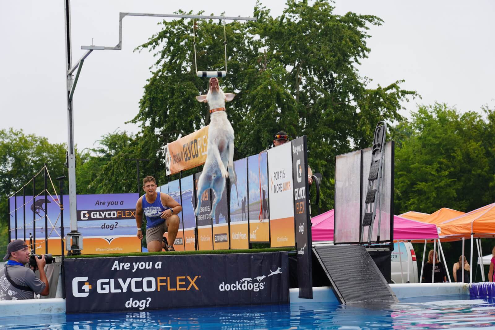 Dog Daze - Dock Dogs Diving Competition
